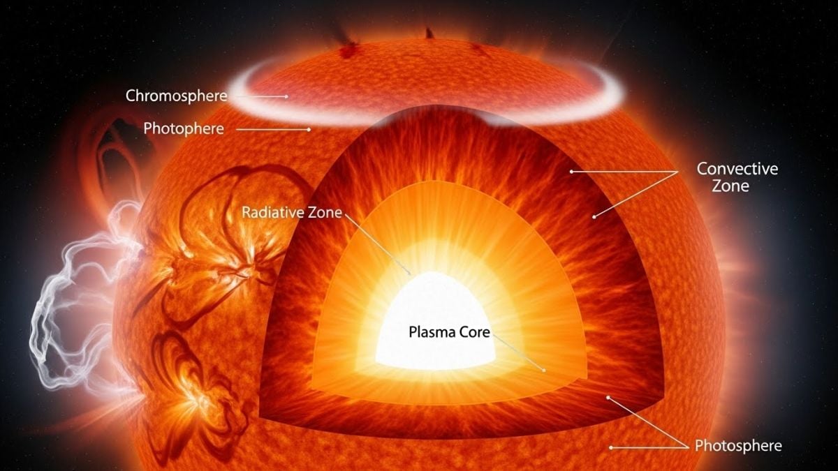 Structure of the Sun: A Complete Guide from Core to Atmosphere｜World ...