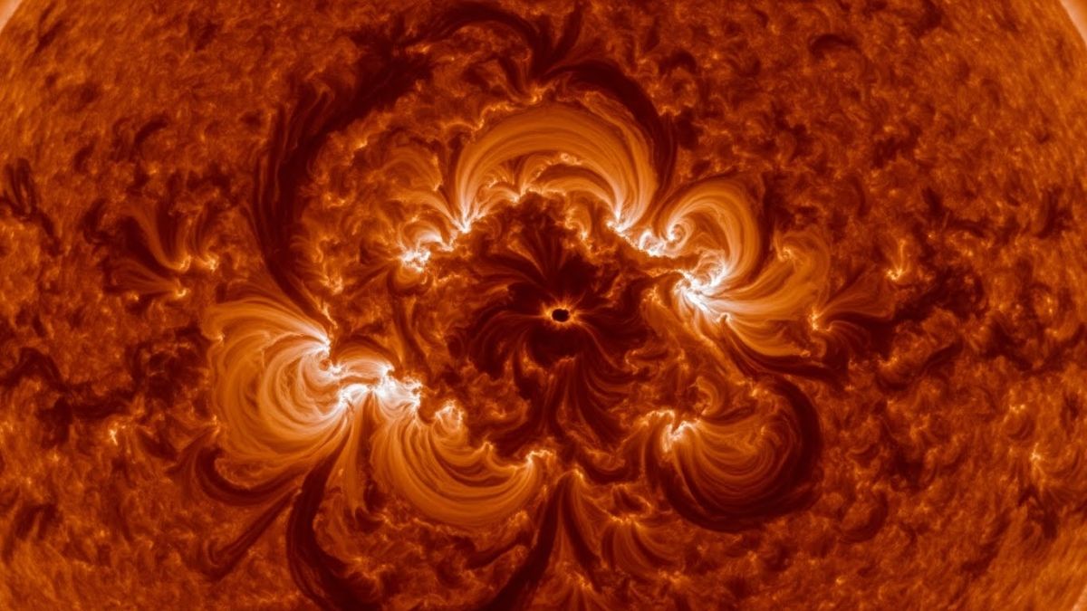 Structure of the Sun: A Complete Guide from Core to Atmosphere｜World ...